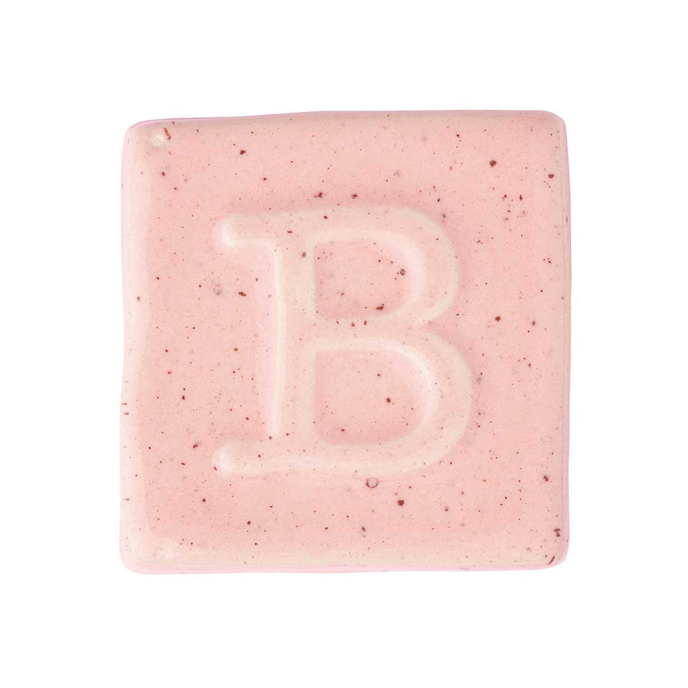 Botz Pro | Günstig kaufen bei der Töperei